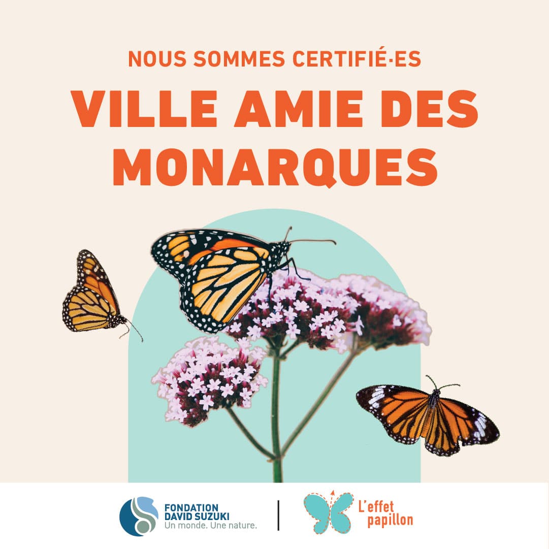 La Ville de Repentigny maintenant Ville amie des monarques - TVRM